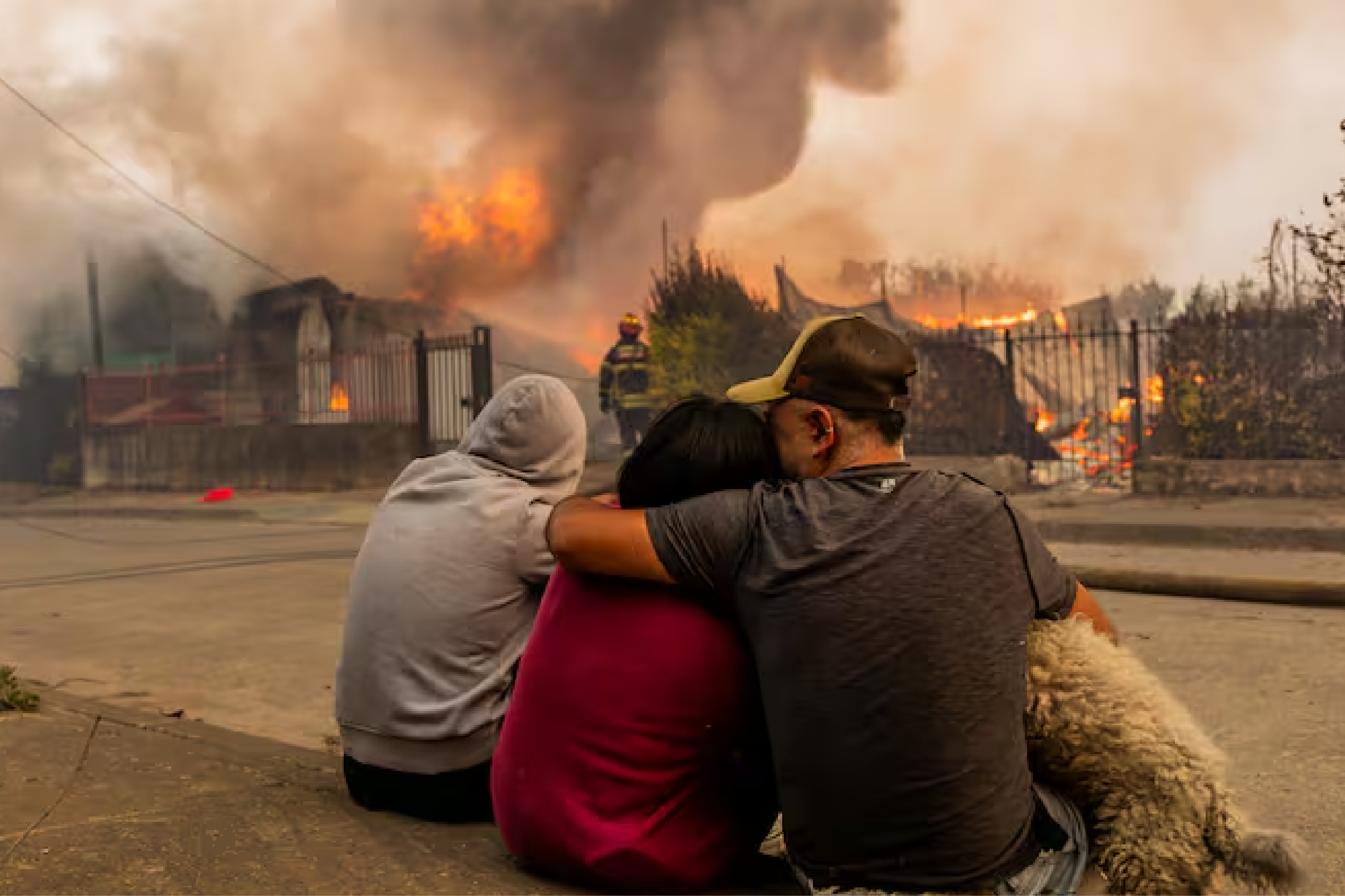 Chile enfrenta devastadores incendios forestales: ya son 20 muertos y ...