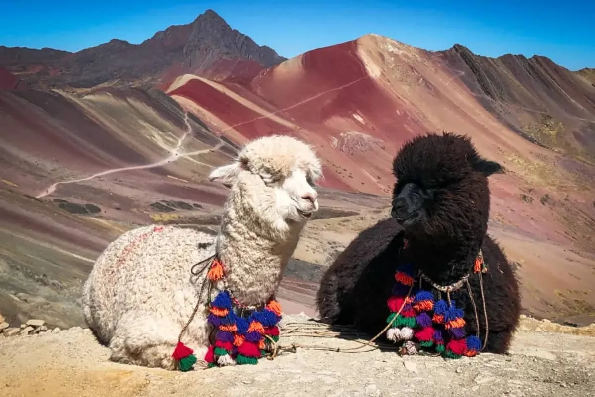 Costa Rica y Perú en el mapa de la belleza mundial